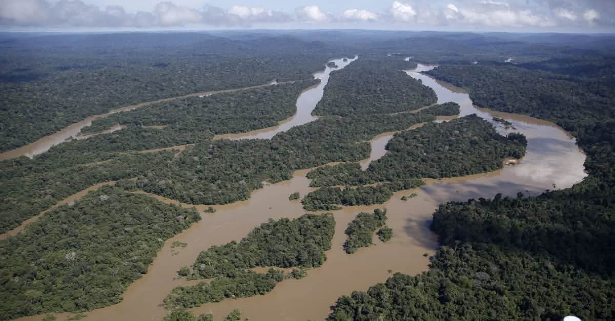 Tras las elecciones en Brasil: ¿se salvó la selva amazónica? - Salva la ...