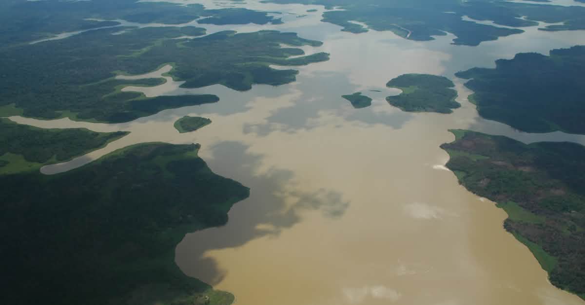 Selva amazónica - Salva la Selva - Salva la Selva