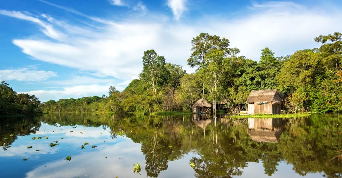 Por la vida en Alto Amazonas: no a la minería en Perú - Salva la Selva ...