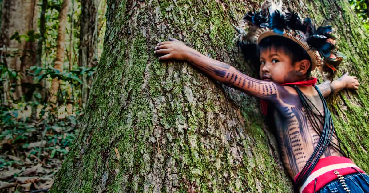 Brasil: Emergencia en la Amazonía ¡Madereros fuera del bosque! - Salva ...
