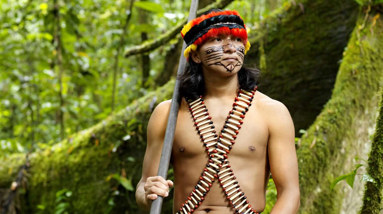 Amazonía viva, humanidad segura - Salva la Selva