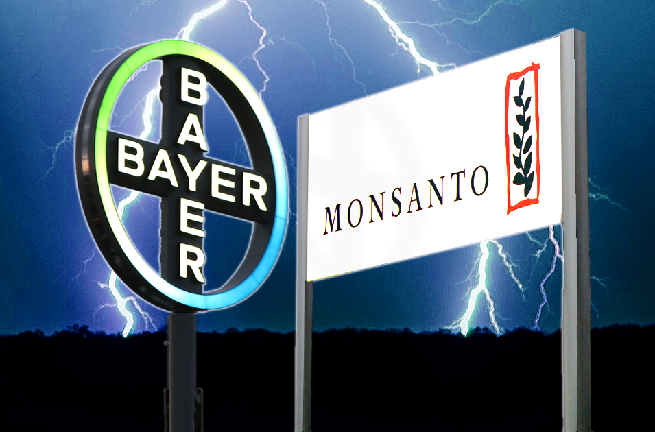 Eviten la fusión de las multinacionales Bayer-Monsanto - Salva la Selva