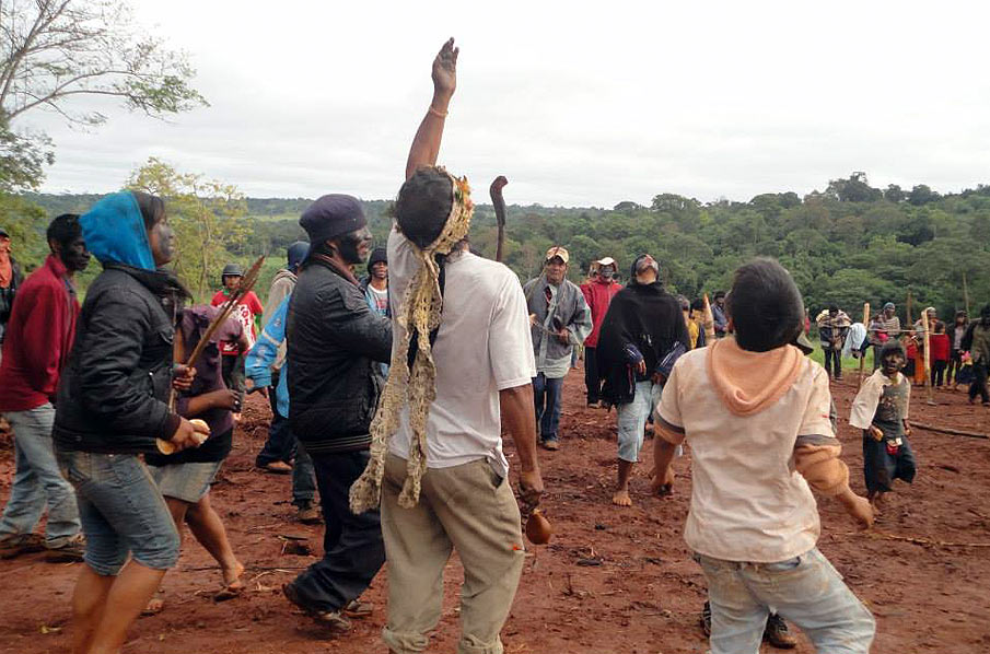 Paraguay: la tierra es de los Avá Guaraní - Salva la Selva