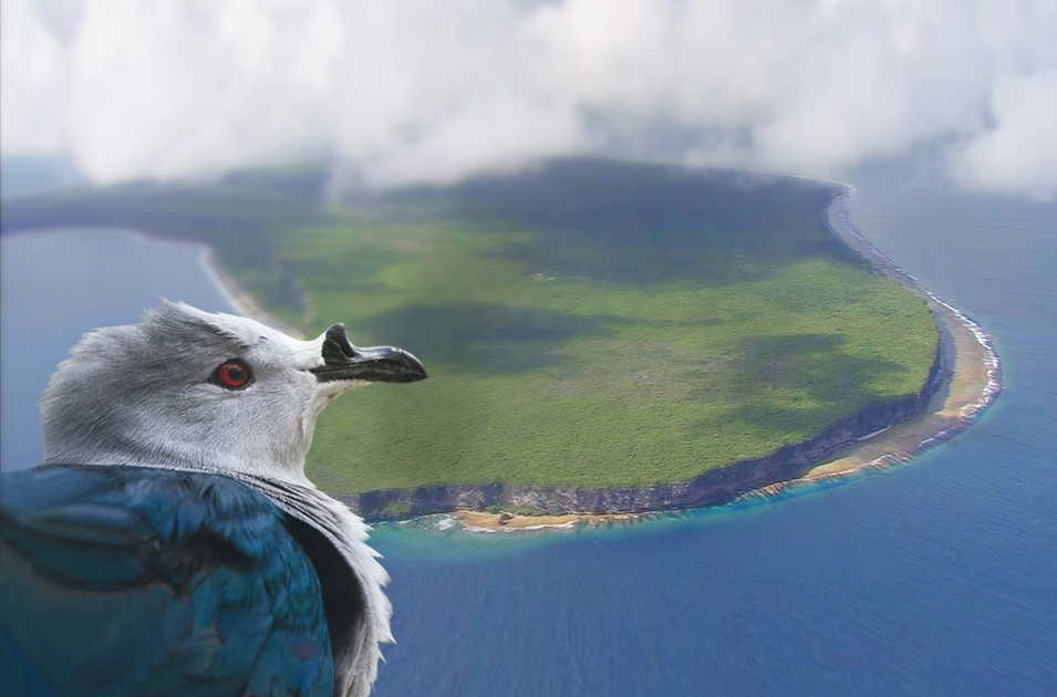 Makatea ¡El Arca de Noé del Pacífico en peligro! - Salva la Selva